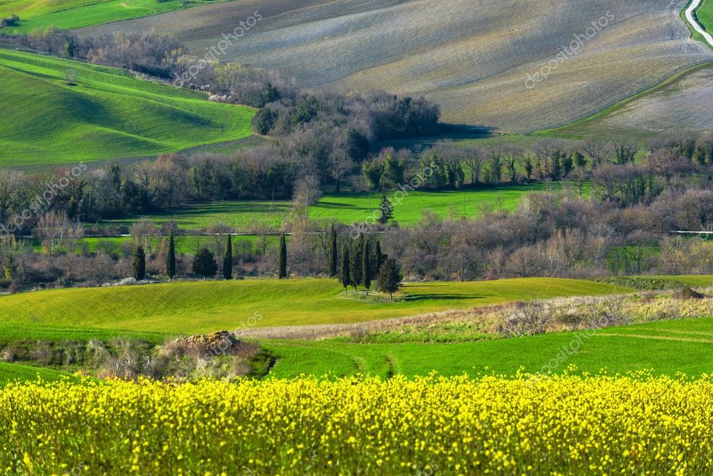 Early spring field on the Tuscany amazing fields — Stock Editorial ...