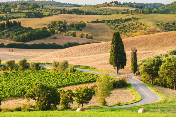 Tuscany summer Stock Photos, Royalty Free Tuscany summer Images ...