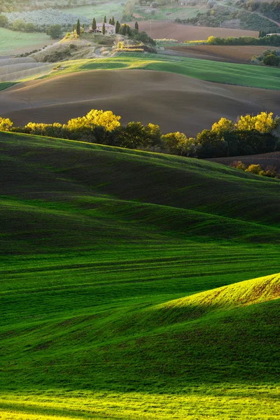 Planted field Pictures, Planted field Stock Photos & Images ...
