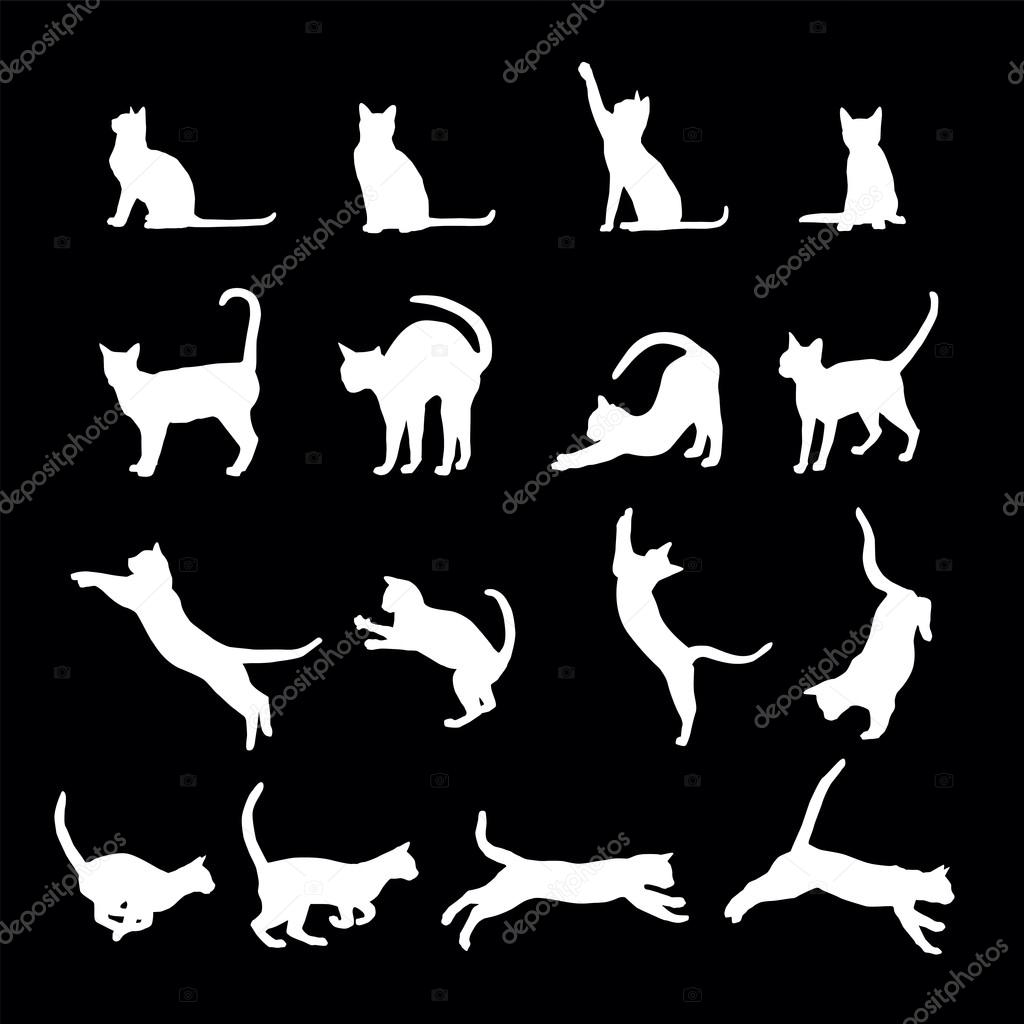Cat Silhouette Stock Vector By ©rashad Ashurov 56392923
