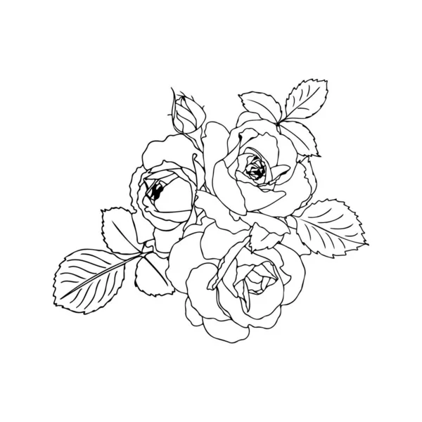Hand drawn roses Stock Photos, Royalty Free Hand drawn roses Images | Depositphotos