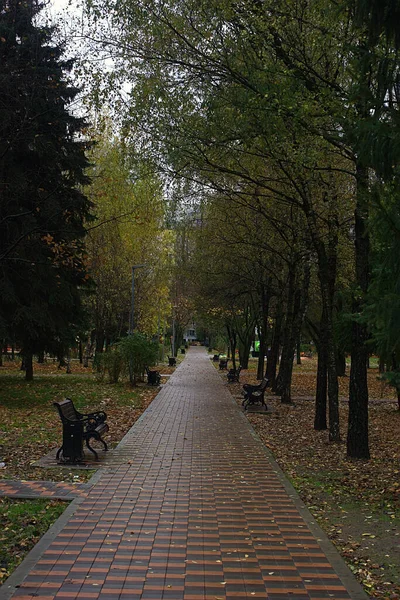 Park profile Stock Photos, Royalty Free Park profile Images | Depositphotos