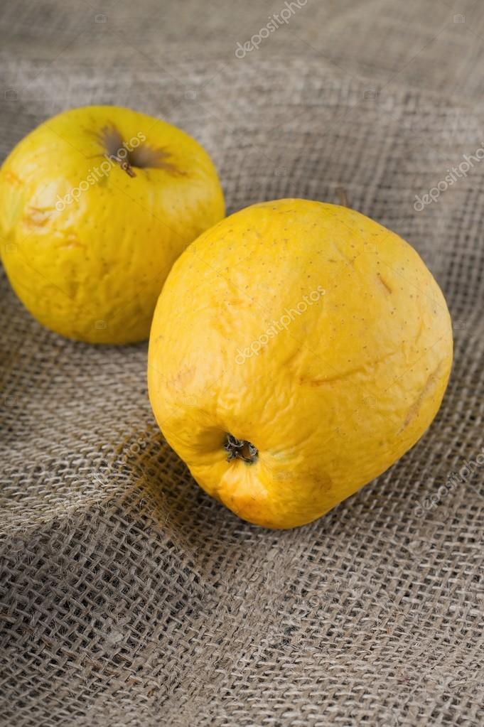 Two overripped golden apples on jute cloth — Stock Photo © yommy8008 ...