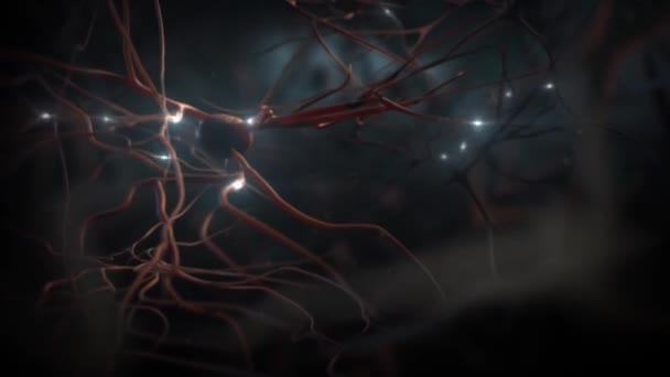 Firing Neurons In The Brain
