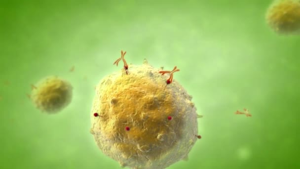 11 Microscopie confocale Videos, Royalty-free Stock Microscopie ...