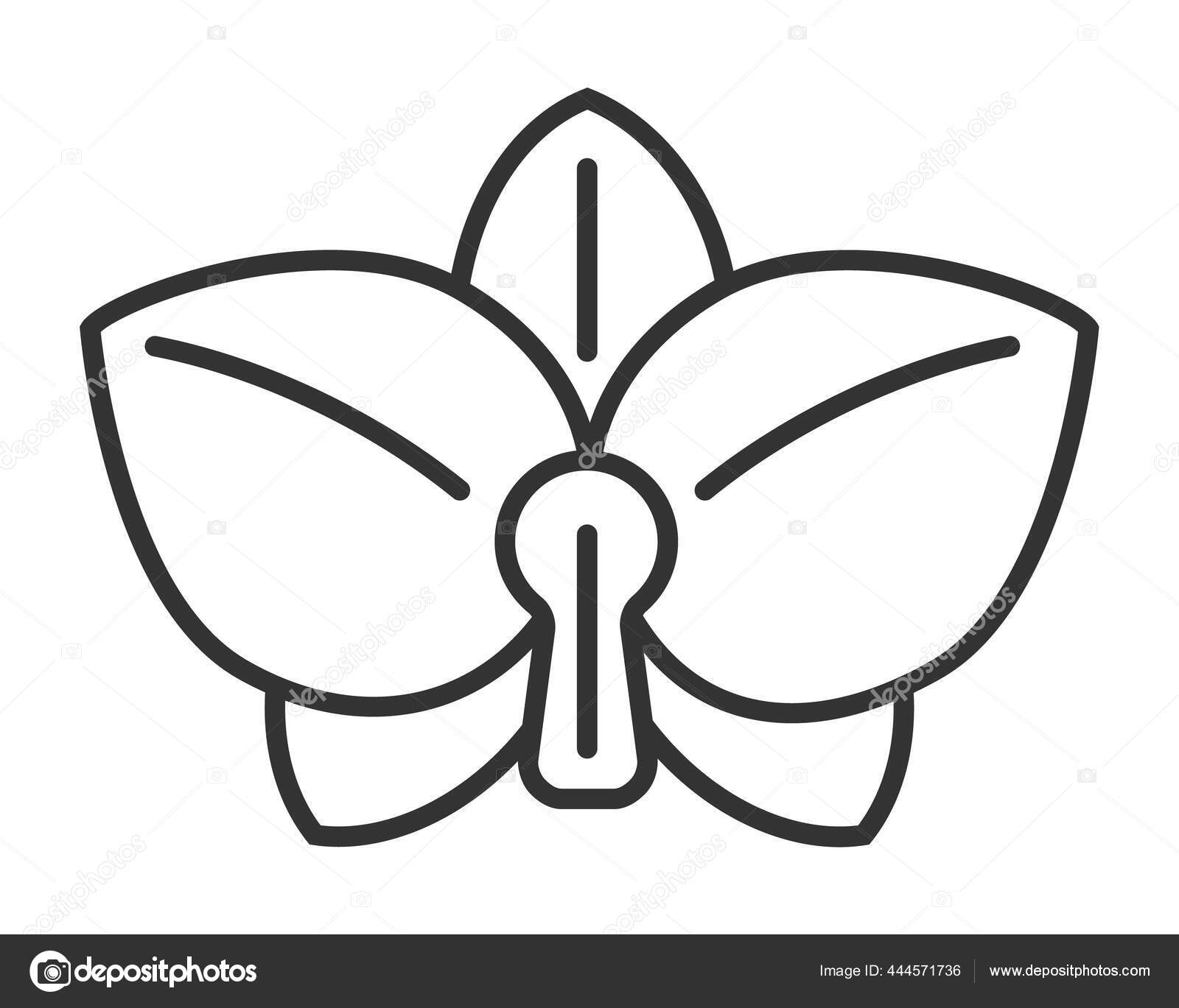 Orchid icon vector in outline style. Tropic flower is shown. Wedding ...