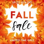 Fall special sale Stock Vector Image by ©artnis #121885200