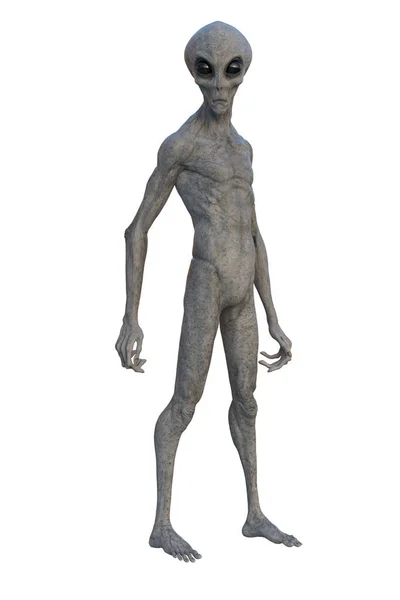 Grey Alien Full Body