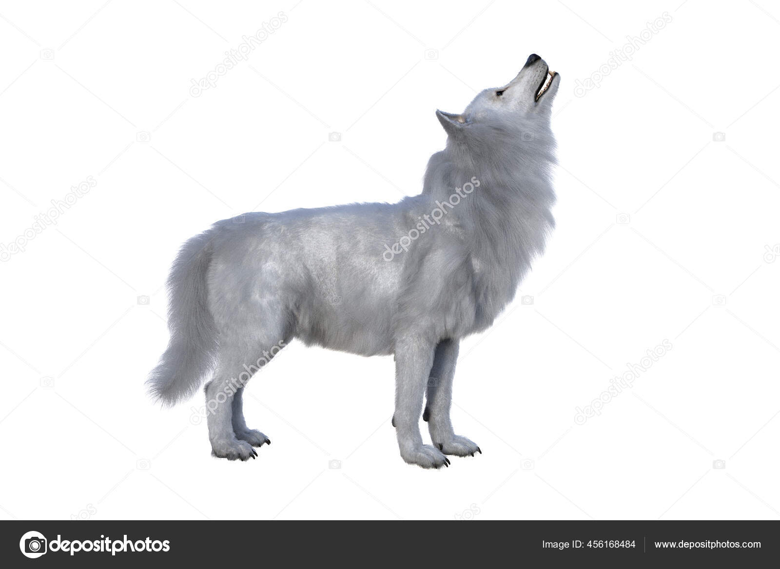 White Dire Wolf Howling Illustration Isolated White Background Stock ...