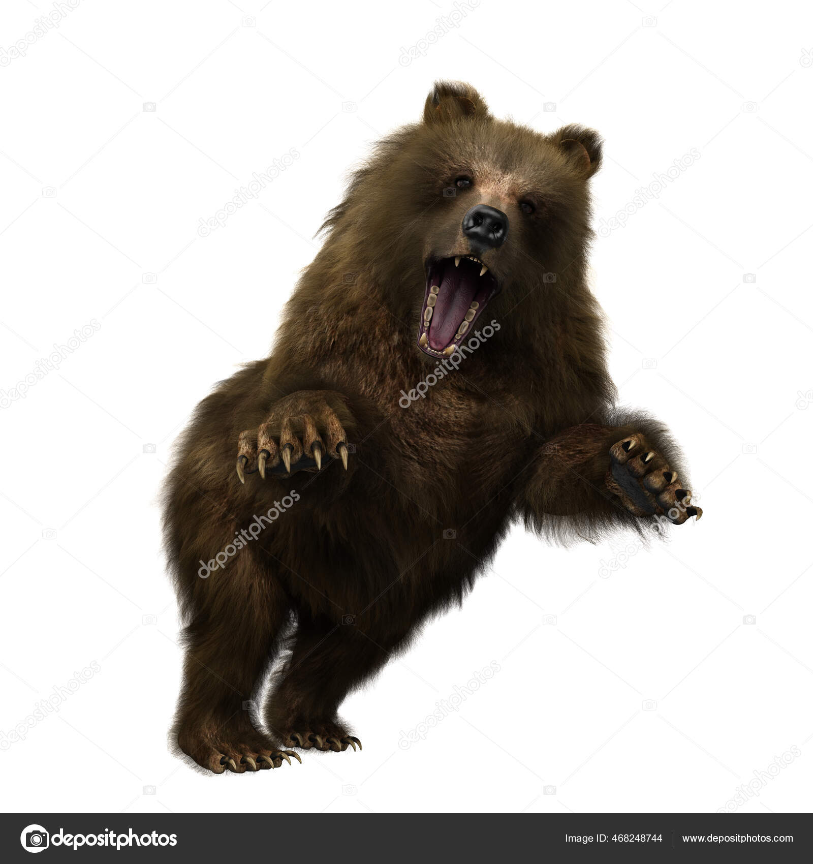 Oso Grizzly De Pie Y Rugiendo