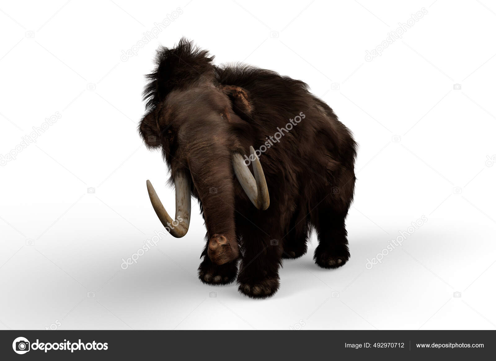 Woolly Mammoth Extinct Relative Elephant Which Lived Last Ice Age ...