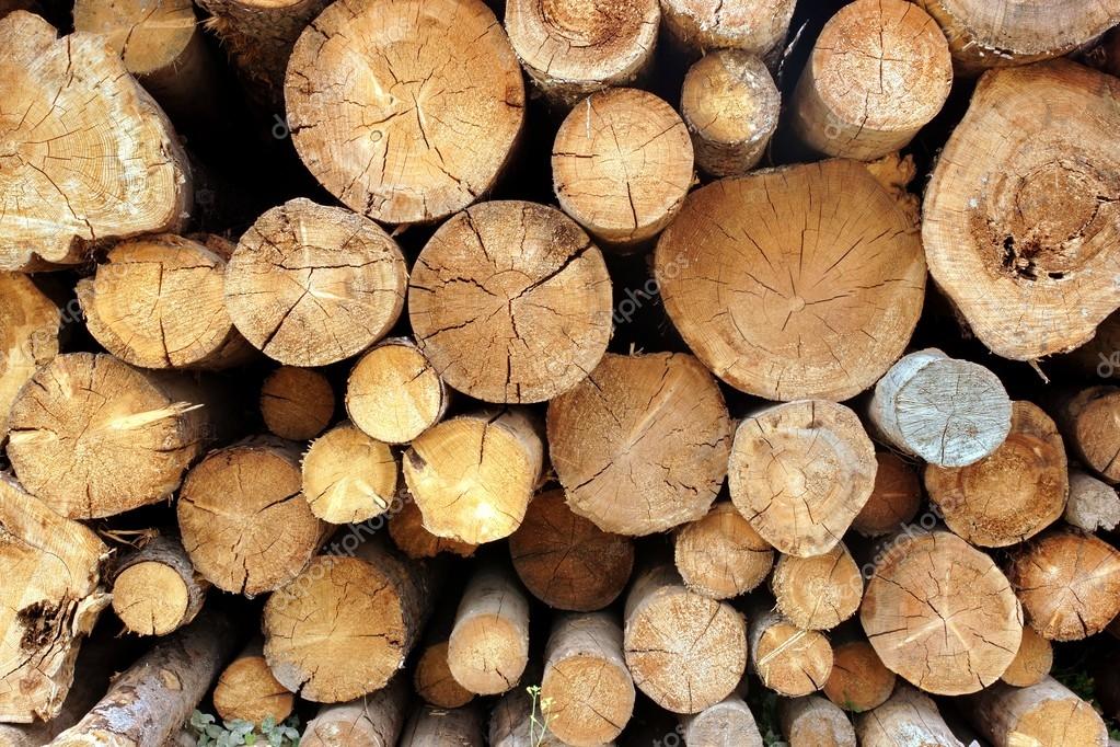 Woodpile From Big Logs For Forestry Industry — Stock Photo © aruba2000 ...