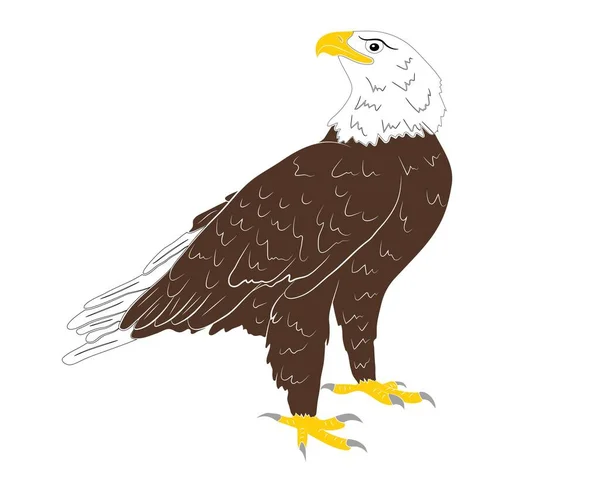 23,333,805 Colonel eagle Vector Images | Depositphotos