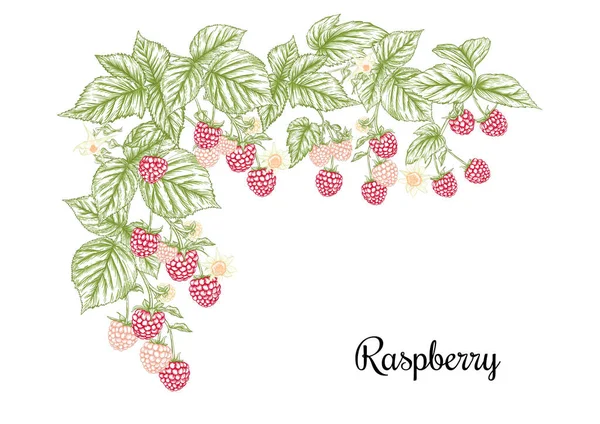 Strawberry branch with red berries. Clip art, set of elements for ...