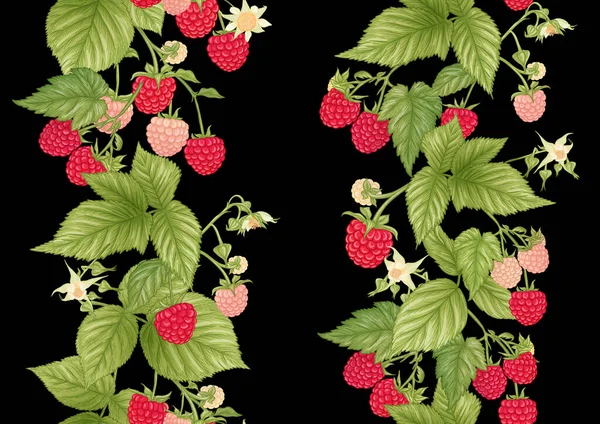 100,000 Raspberry plant Vector Images | Depositphotos
