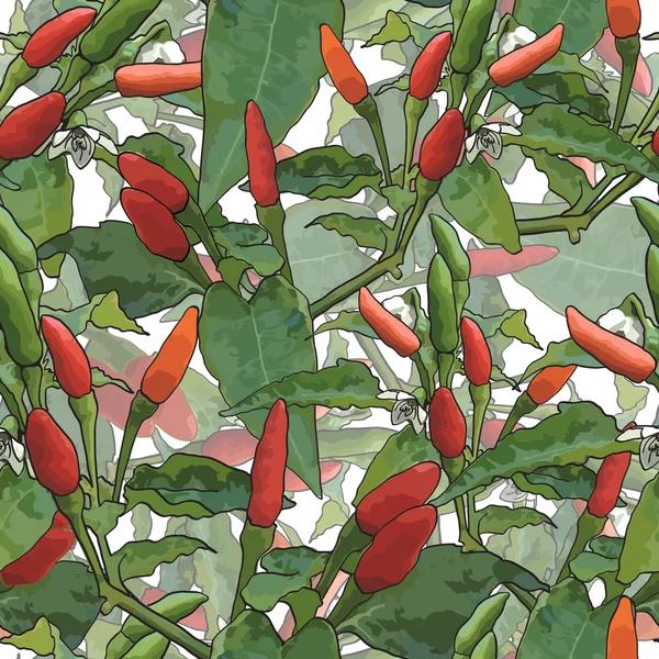 Pola cabai Vektor Stok, Ilustrasi Pola cabai Bebas Royalti | Depositphotos