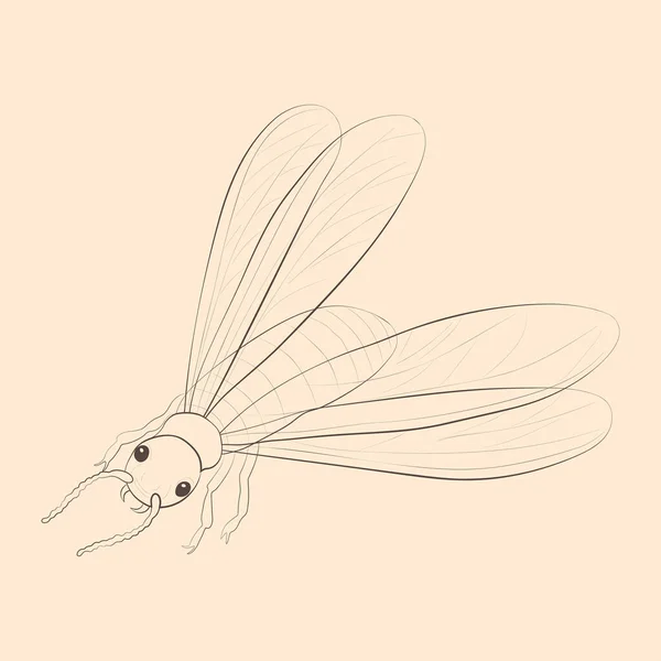 46,354,784 Ephemeroptera Vector Images | Depositphotos