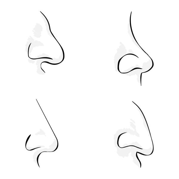 Namen Von Nasentypen