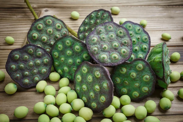 Lotus seeds Stock Photos, Royalty Free Lotus seeds Images | Depositphotos®