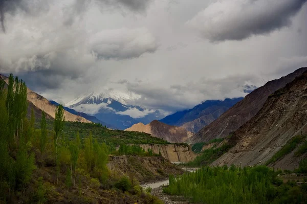 Ghor Stock Photos, Royalty Free Ghor Images | Depositphotos