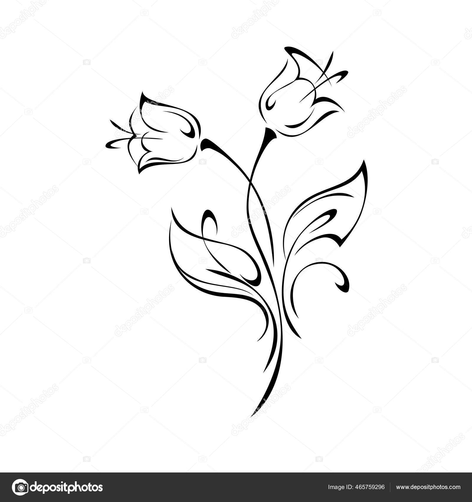 Two Stylized Bell Flowers Stems Leaves Curls Black Lines White Stock ...
