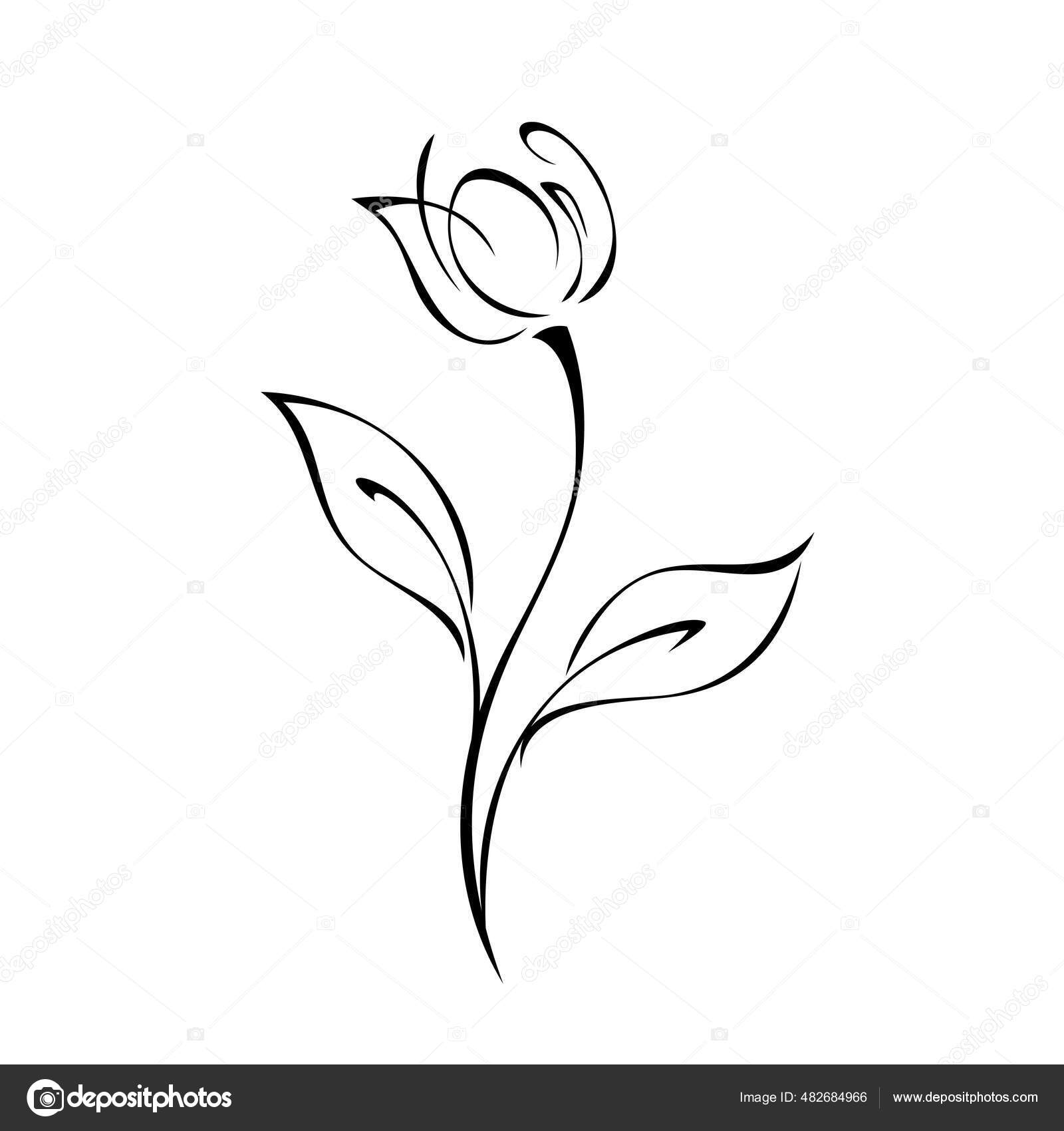 Single Flower With Stem Black And White