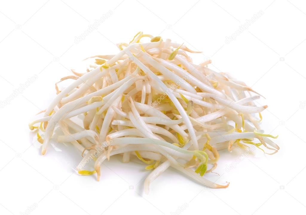 Brotes de frijol sobre fondo blanco 2023