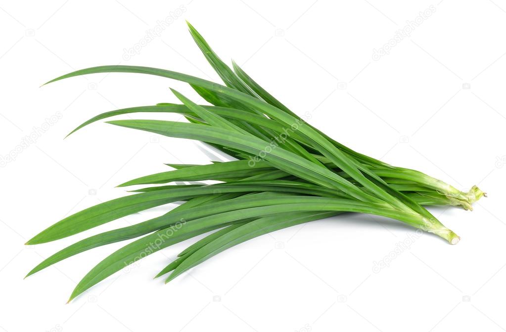 Fresh Pandan leaves isolated on white background Stock Photo by ...
