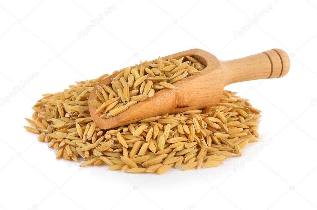 Rice grains isolated on white background — Stock Photo © sommaill #92621558