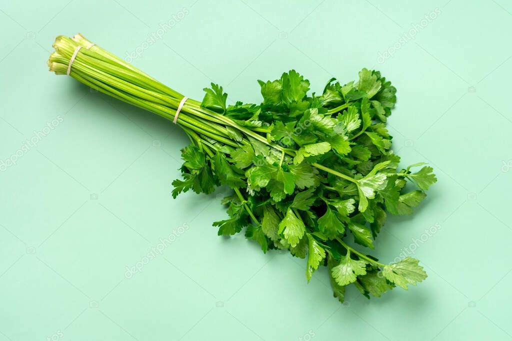 Ramo de hojas de apio y tallos aislados sobre fondo verde claro Vista ...