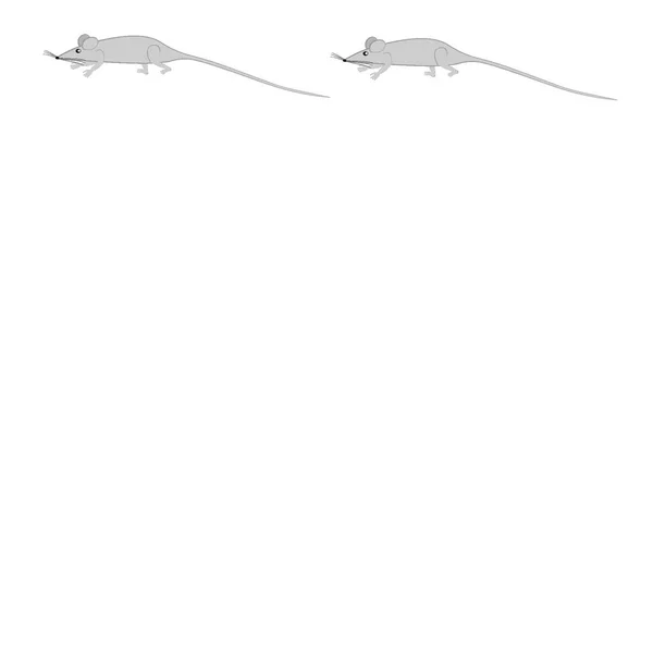 35,413,983 Squarico Vector Images | Depositphotos