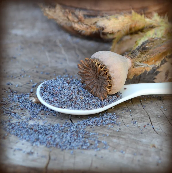 Narcotine Stock Photos, Royalty Free Narcotine Images | Depositphotos