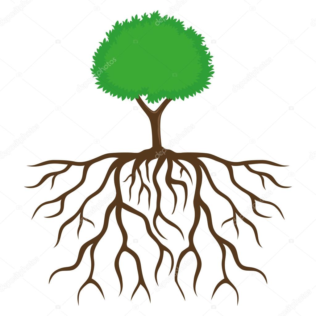 Cartoon Tree With Roots Root System Of Tree. Nature And Forest. Layer