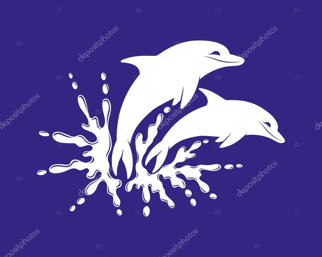 Splash of water and two dolphins. Stock Vector Image by ©taronin #114633678