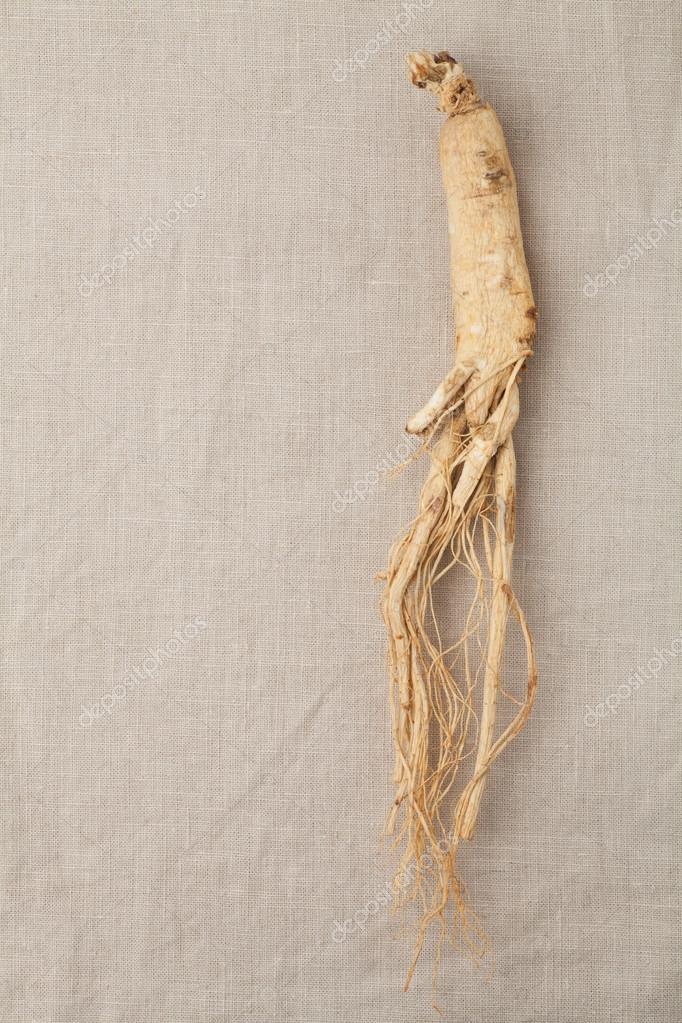 Dry ginseng roots Stock Photo by ©koosen 66780141