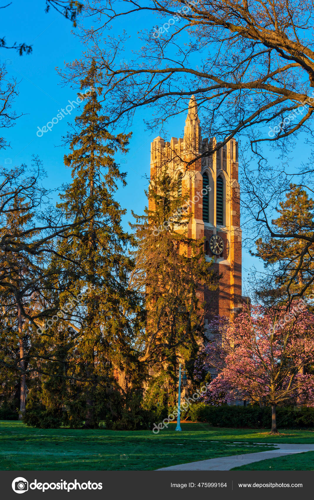 Michigan State University Campus Fall
