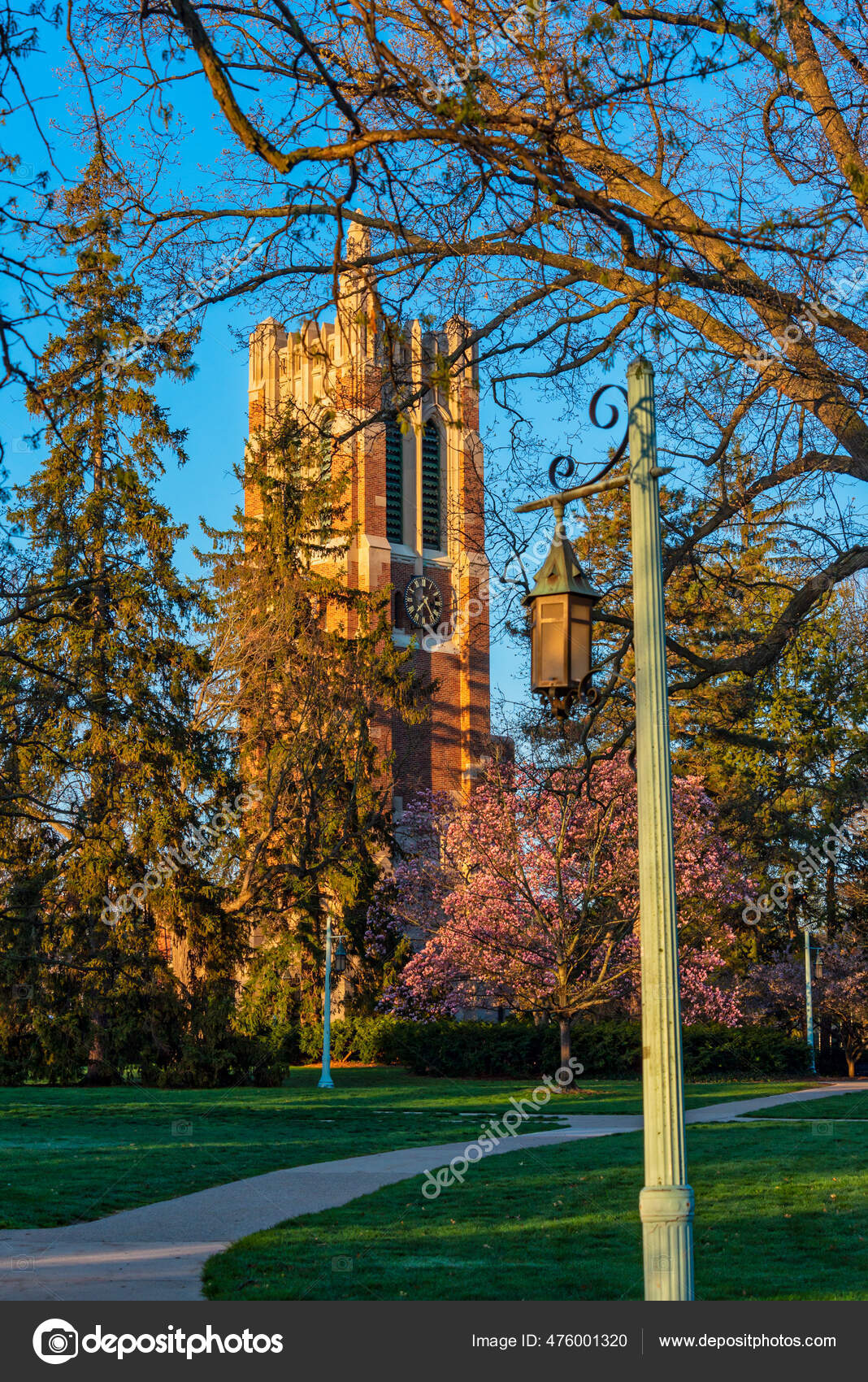 Michigan State University Campus Fall
