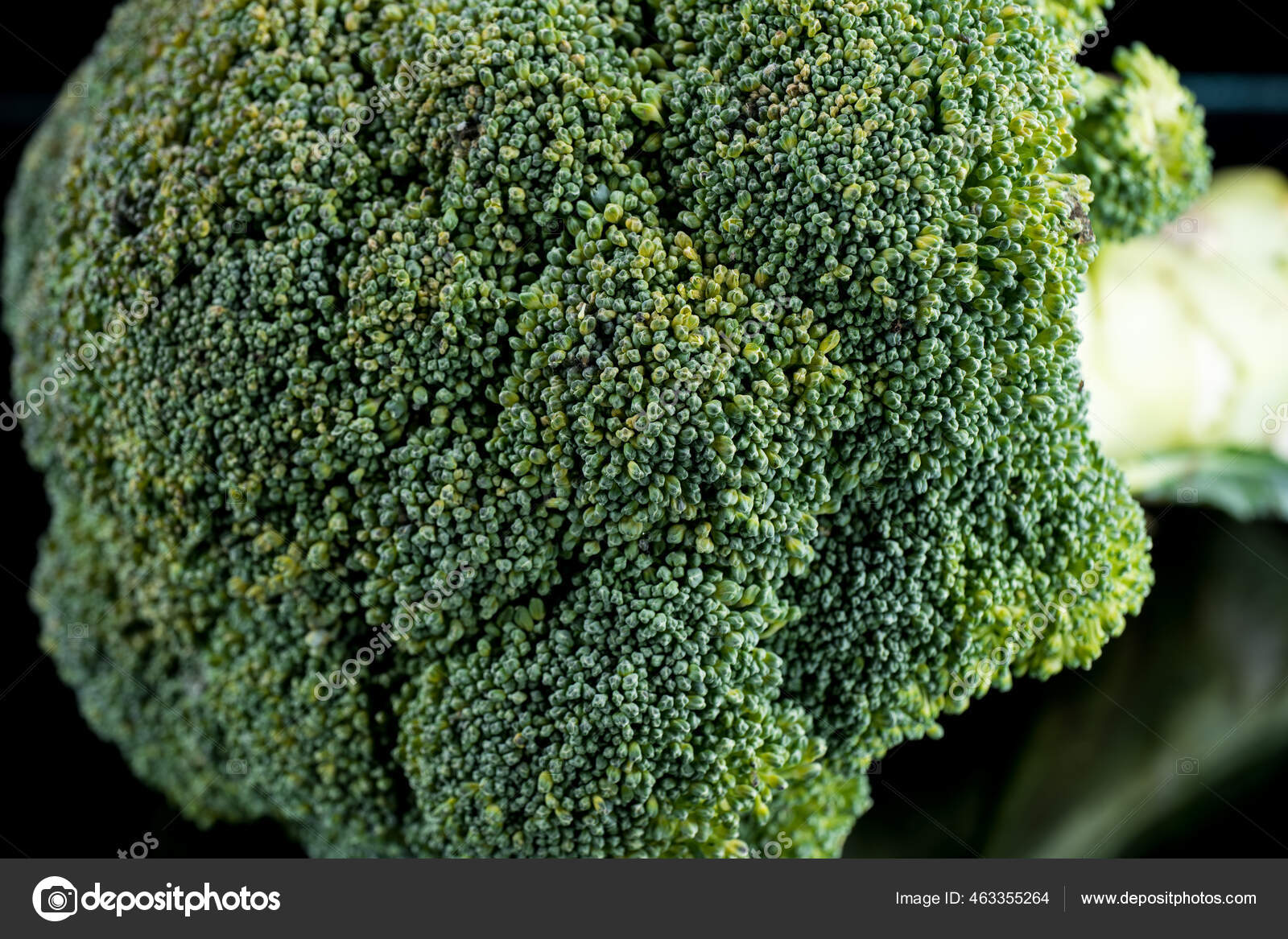 Broccoli Black Background Ice Cubes Crushed Ice Stock Photo by ©ketta ...