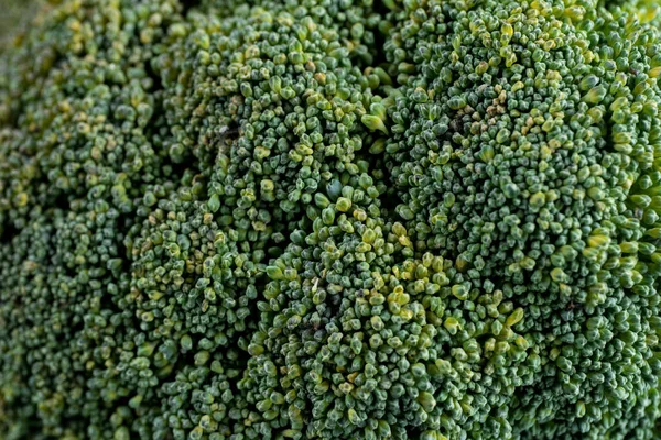 Broccoli Black Background Ice Cubes Crushed Ice Stock Photo by ©ketta ...