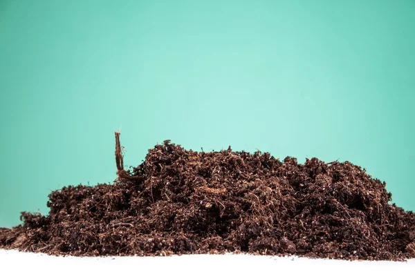 Vermicompost Stock Photos, Royalty Free Vermicompost Images | Depositphotos