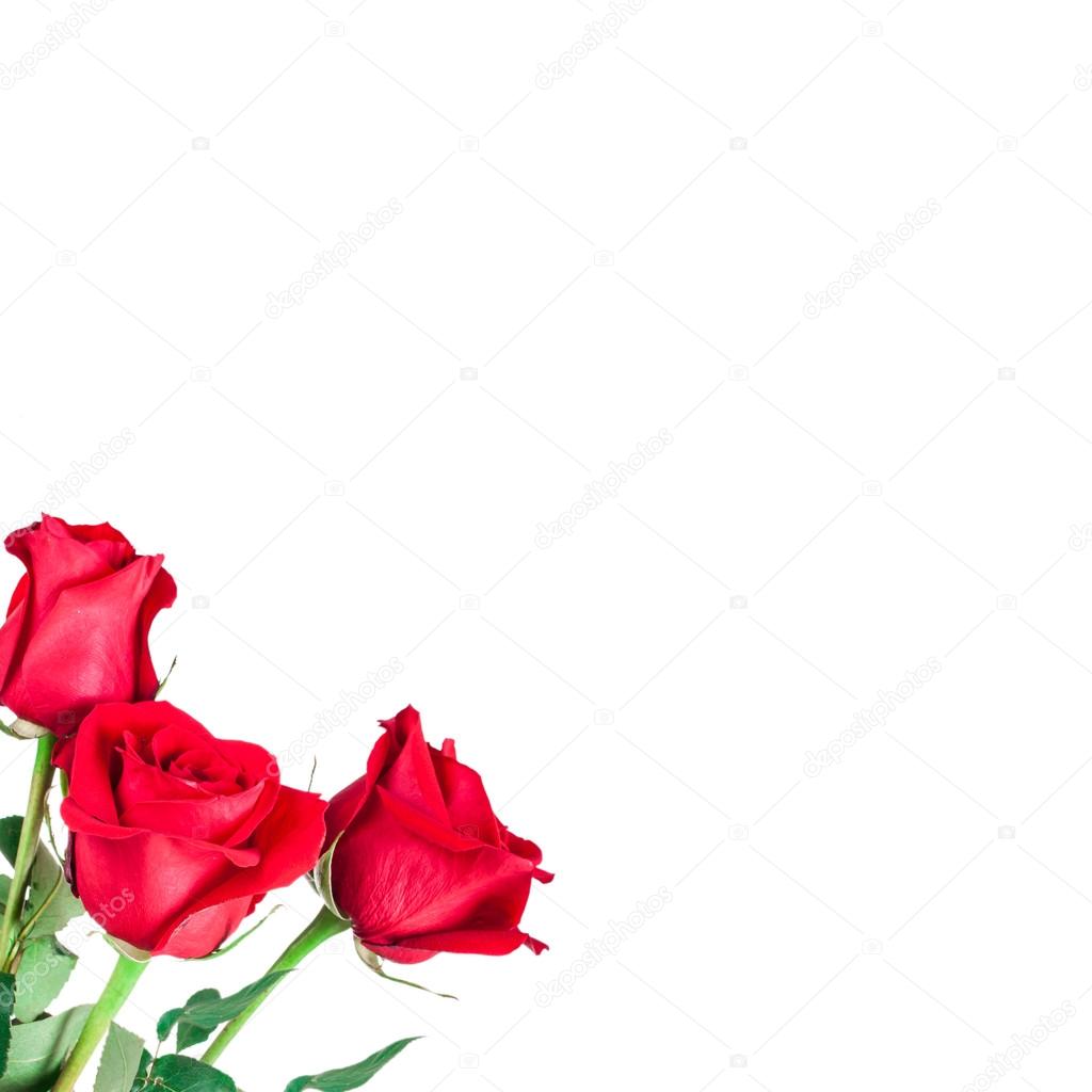 Red rose on natural background Stock Photo by ©ketta 98366224