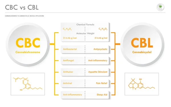 Human Cannabinoid System horizontal infographic Stock Vector Image by ...