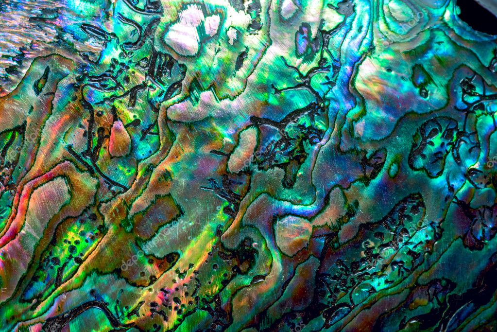 Haliotis shell detail - luxury background of blue abalone pearl shell ...