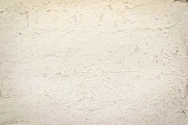 Ivory texture Stock Photos, Royalty Free Ivory texture Images ...