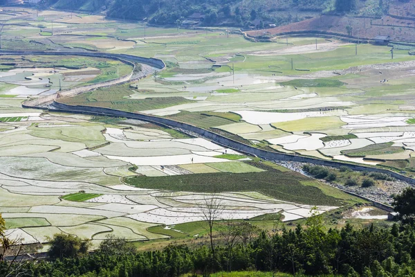 Mountain rice field Stock Photos, Royalty Free Mountain rice field ...