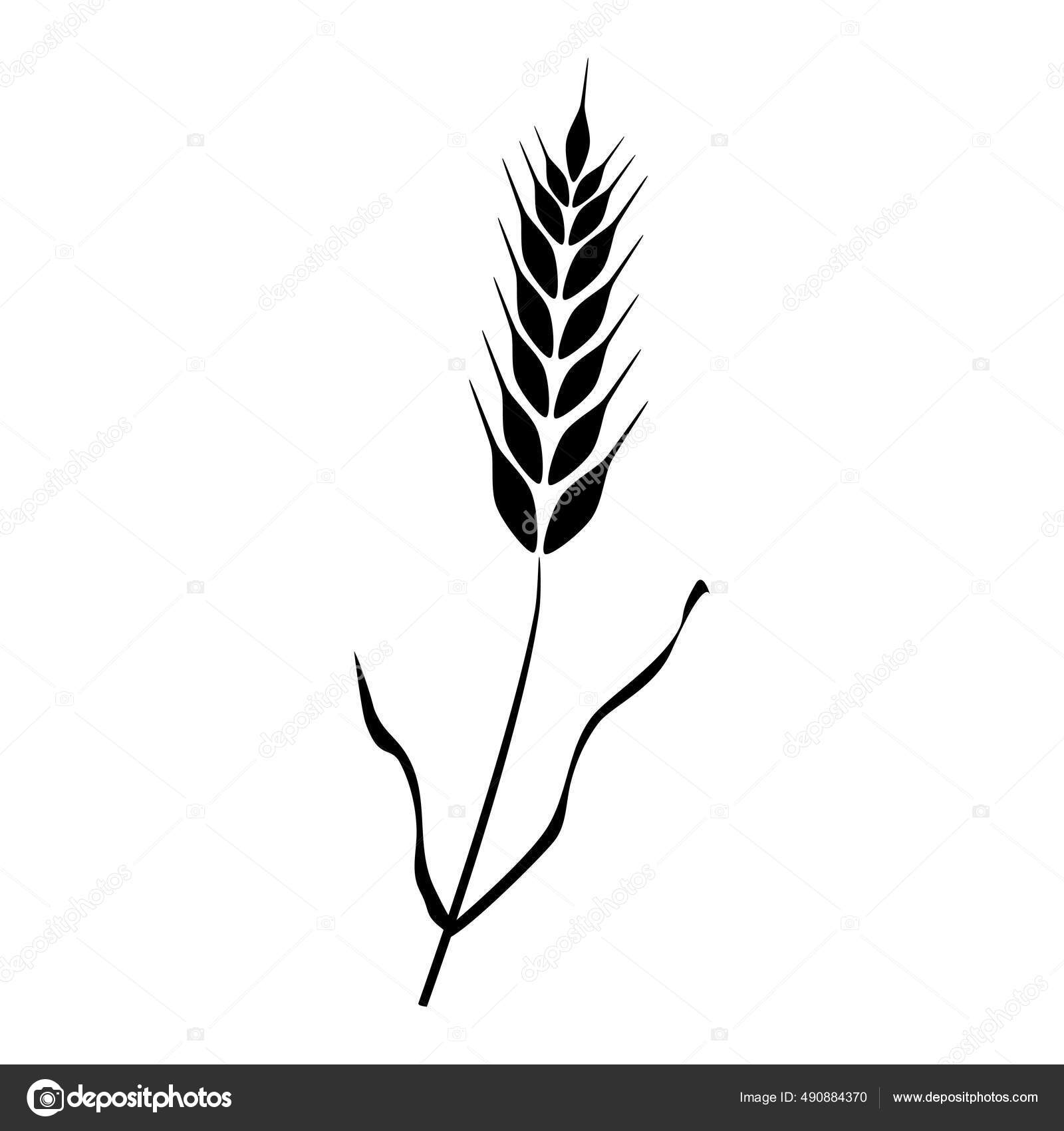 Silueta Con Espiga Trigo Vector de stock #490884370 de ©Lucaso