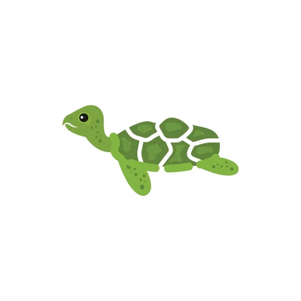 55 Loggerhead Vectors, Royalty-free Vector Loggerhead Images ...