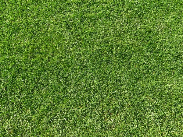 Green grass texture from golf course for background ⬇ Stock Photo ...
