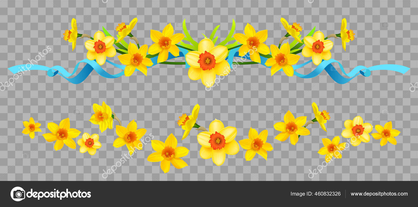 Floral borders set with daffodils on transparent background. Stock ...