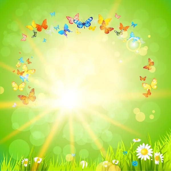 Background with butterflies Stock Vector Image by ©paprika_ #28793049